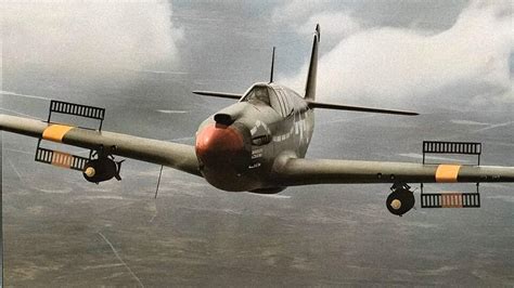 The P 51s Unknown Sister World War Wings