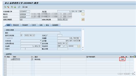 【sd】sap销售订单部分开票sap销售开红票 Csdn博客 【sd】sap销售订单部分开票sap销售开红票 Csdn博客