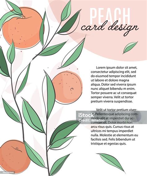 복숭아 잎 텍스트와 벡터 템플릿입니다 채식 과일 브로셔 플라이어 Nectarins와 책자 전단지 유기 메뉴 프레 젠 테이 션