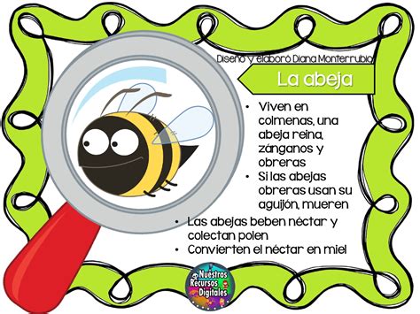 Bonitas LÁminas Para Trabajar Los Insectos Actividades De Infantil Y