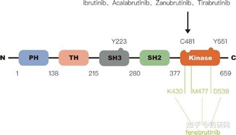 共价和非共价：btk抑制剂的发展与应用 知乎
