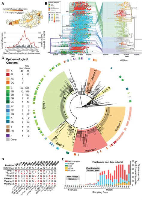 Phylogenetic Epidemiological Reconstruction Of Sars Cov 2 Infection