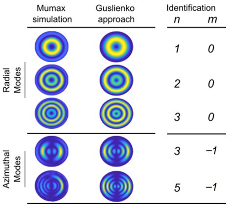 Theoretical Investigation Of Skyrmion Dynamics In Ptcomgo Nanodots