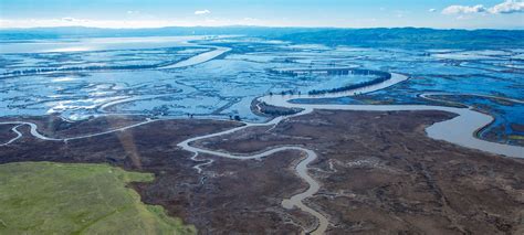 Sacramento Valley Wetlands Carson Jeffres Public Policy Institute Of