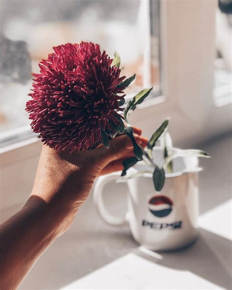 Анастасия Халова А вы видели когда нибудь такое дерево У него цветут не ветки У него цветет