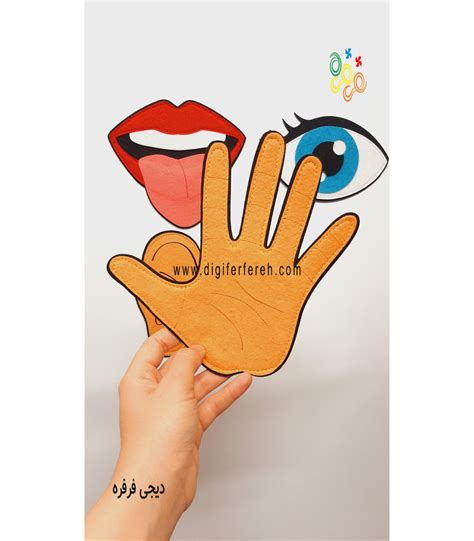 حواس پنج گانه 305000 تومان