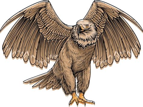Premium Vector An Eagle Ready To Fly