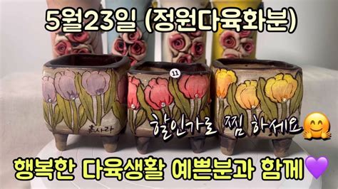 2024년 5월 23일 행복한 다육생활💜정원다육화분과 함께해요정원다육화분 정원다육 수제공방분 예쁜화분 다육화분 다육화분싸게파는곳 다육이 Youtube