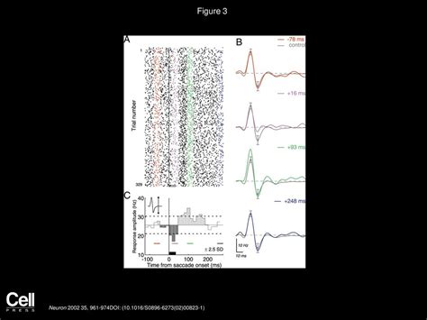 John B Reppas Wmartin Usrey Rclay Reid Neuron Ppt Download