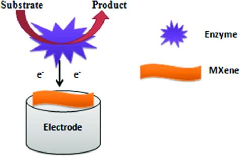 Schematic Representation For Direct Electron Transfer Process Download Scientific Diagram