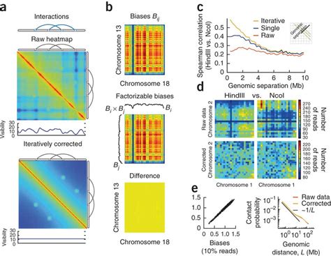 Iterative Correction Of Hi C Data A Illustration Of Iterative