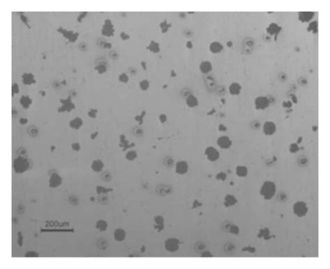 Microstructure Of Cast Iron A Grey Iron B Compacted Graphite Download Scientific Diagram