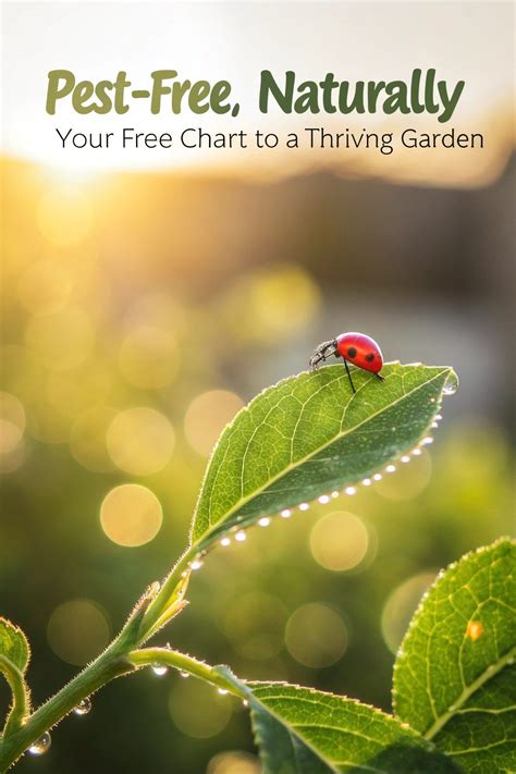 Best Hvac Diffusers In 2025 15 Energy Efficient Models