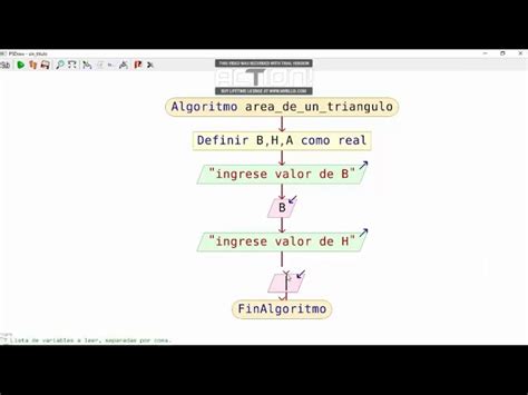 Tutorial Como Hacer Un Diagrama De Flujo En Pseint Gabyb7332