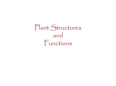 ppt plant structures and functions powerpoint presentation free
