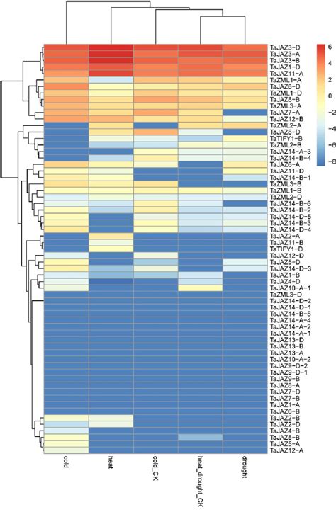 Hierarchical Clustering Of Expression Profiles For Tatify Genes Under Download Scientific