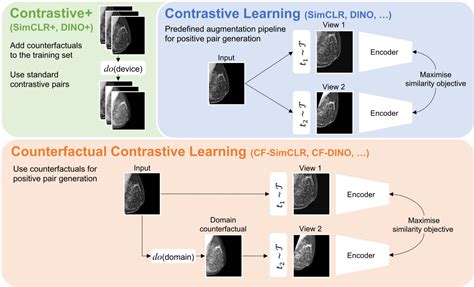 논문 리뷰 Robust image representations with counterfactual contrastive