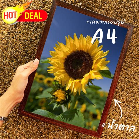 กรอบรูปa4 กรอบรูปสีขาวอะคริลิค กรอบเกียรติบัตร กรอบสีขาว 71181078805588216077 Thailucky168