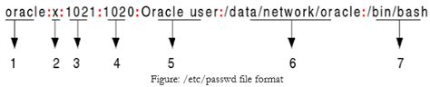 Explain Role Of Etcpasswd Etcshadow Etcgroups Files With Respect To User Administration