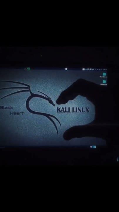 Kali Linux Linux Kalilinux Fyp Hackingorsecutiy Programs