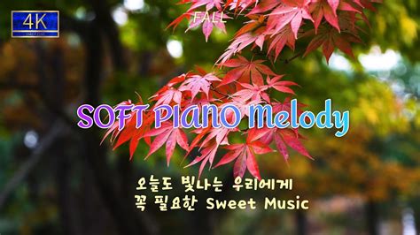 Sweet Meldy 당신의 하루를 빛나게 해줄 힐링음악 행복한 하루가 될꺼야 단풍 가을감성 Youtube