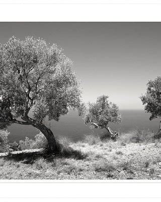 Photos Porno Porno En Noir Et Blanc PICTOA Photos Porno Porno En Noir Et Blanc PICTOA