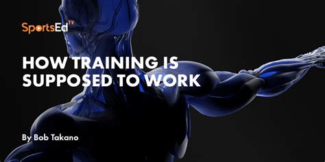 Unlocking Peak Performance The Science Of Effective Weightlifting Training Sportsedtv