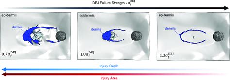 Computation Assessment Of Dej Role Resisting Low Angle Impact Computed