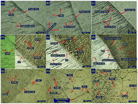 Micrograph Of The Interface Region Of The 304l Ss Side Bm After Etching