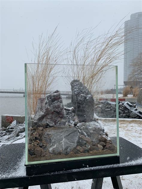 Oliver Knott On Linkedin New York Experience February 2019