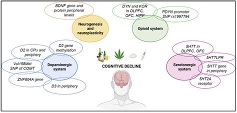 A Summary Of The Molecular Alterations Associated With Cognitive Download Scientific Diagram