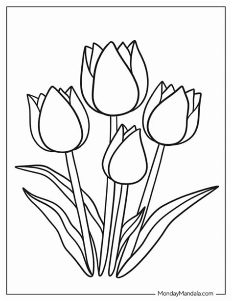 38 Tulip Coloring Pages Free Pdf Printables
