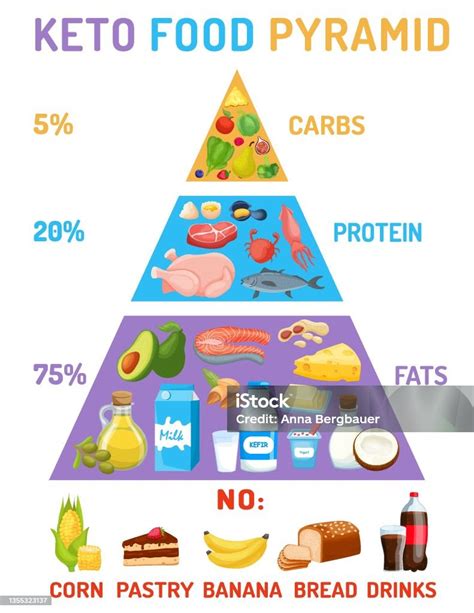 Diagram Diet Rendah Karbohidrat Infografis Piramida Medis Ilustrasi Stok Unduh Gambar Sekarang
