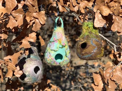 Wet Felted Birdhouse Pod Eureka Fiber In The Ozarks Festival