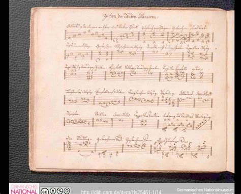 Lute Beginner Must Haves Lute Lute Beginner Must Haves Lute