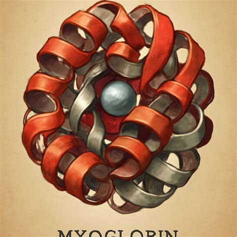 Haemoglobin Vs Myoglobin Difference And Comparison