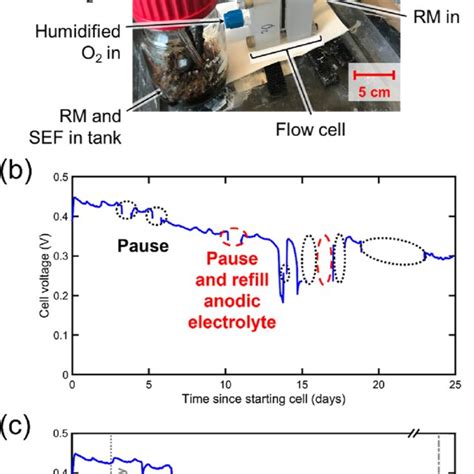 A Labeled Photograph Of The Assembled Sffb Used For Ocv Monitoring