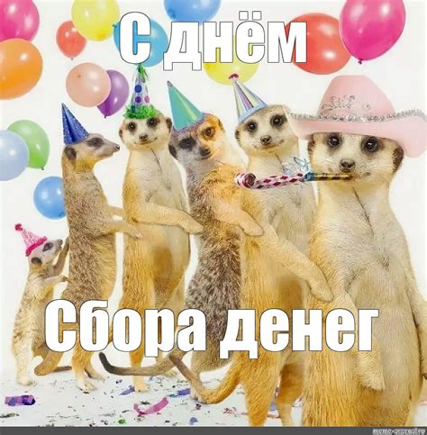 Быстрый и удобный сервис для создания мемов Мемы Смешные открытки С днем рождения кошки