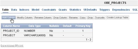 Manipulating Database Objects Using Oracle Application Express 41