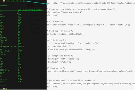 how to execute javascript in oracle sqlcl version 22 1 and higher