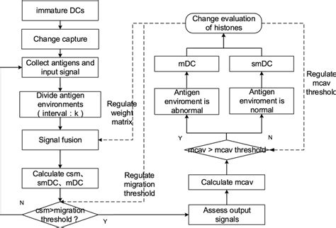 Artificial Immune Model Of Iim Dca Download Scientific Diagram