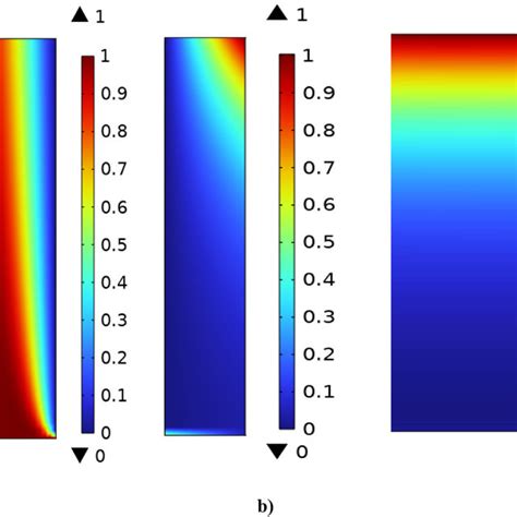 Dimensionless Concentration Distribution Of Pen G At A Tube B Download Scientific Diagram