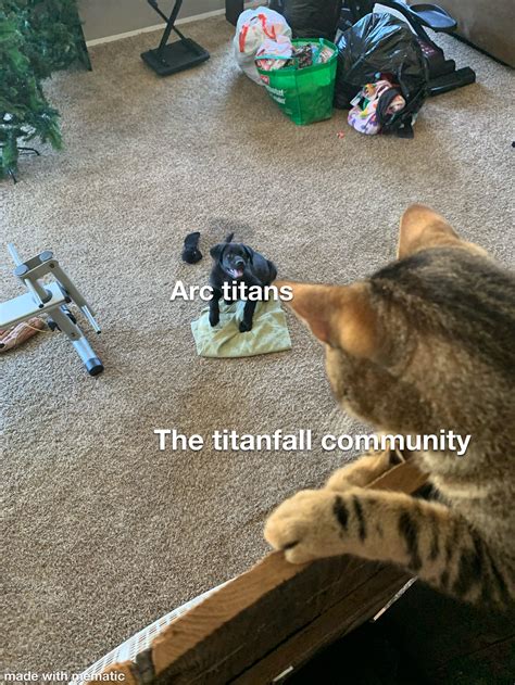I Mean It True R Titanfall