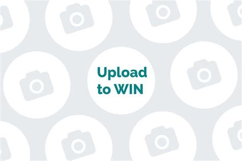 Basic Pancake Mix Australias Best Recipes