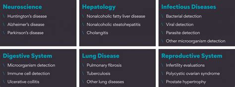 Ai Based Computational Pathology