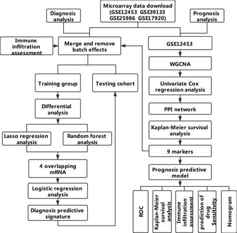 Workflow Chart Of Data Generation And Analysis Download Scientific Diagram