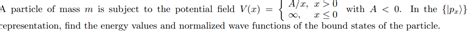 In The Vecp representation The Wave Function In The Vecp representation The Wave Function