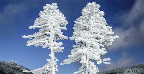 Redux In Worker Off Main Thread Redux Reducers And Middleware · Daishi Katos Blog