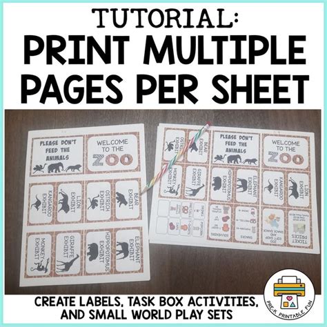 How To Print Multiple Pages Per Sheet Prebabe Activities Prebabe Circle Time Activities