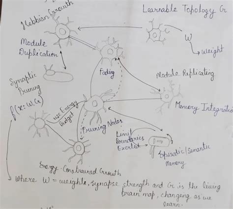 Lasso Vs Ridge Regression Why Lasso Creates Sparsity And Ridge Does Not By Abhishek Kumar